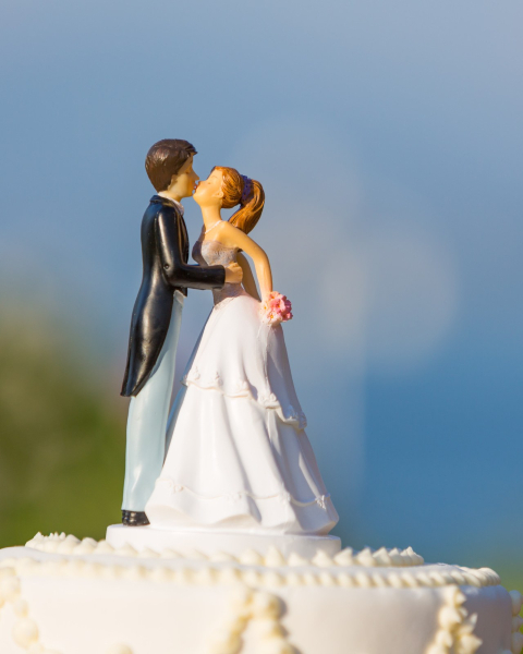 Wedding Cake Toppers Ideas